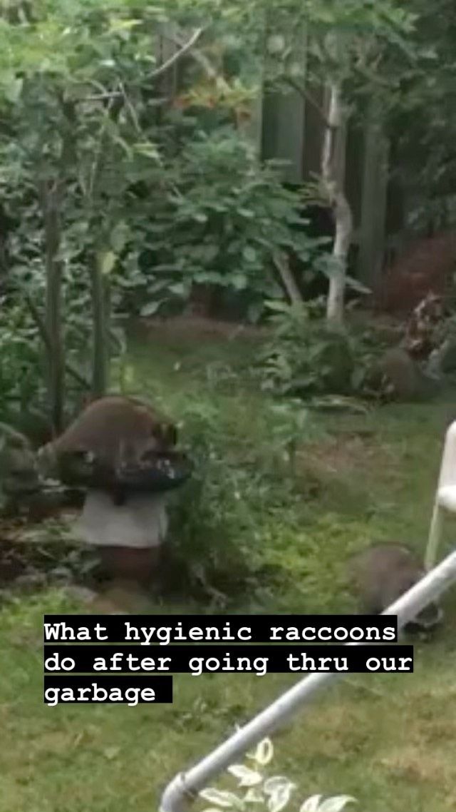 David Pryde - David Pryde